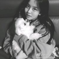 易班 - 我的首页