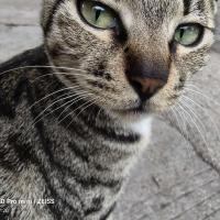 易班 - 我的首页